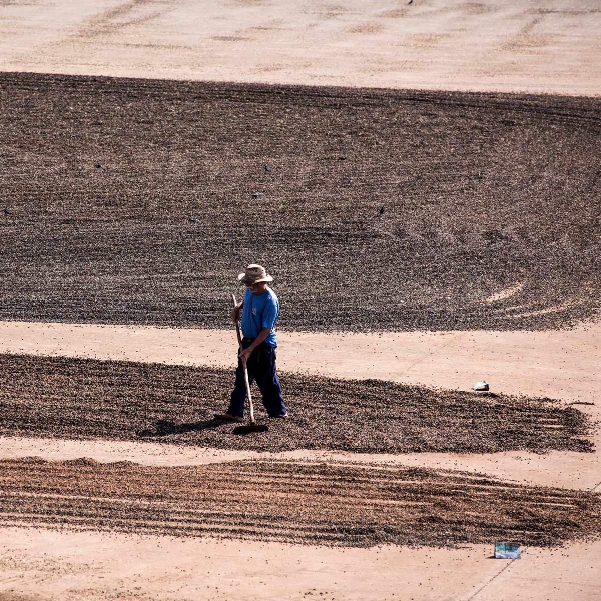 Produkte - SAM urban baker