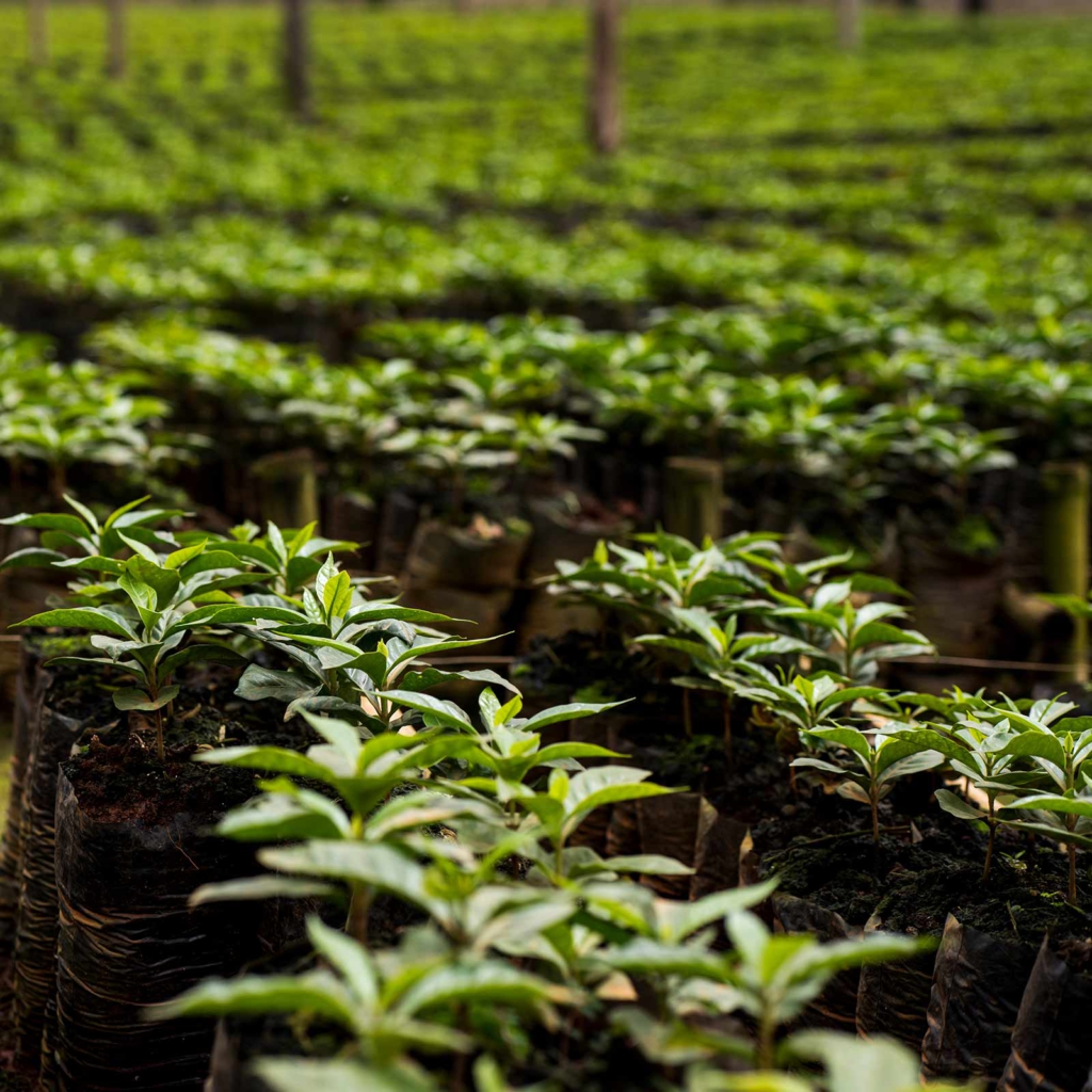 Produkte – SAM urban baker