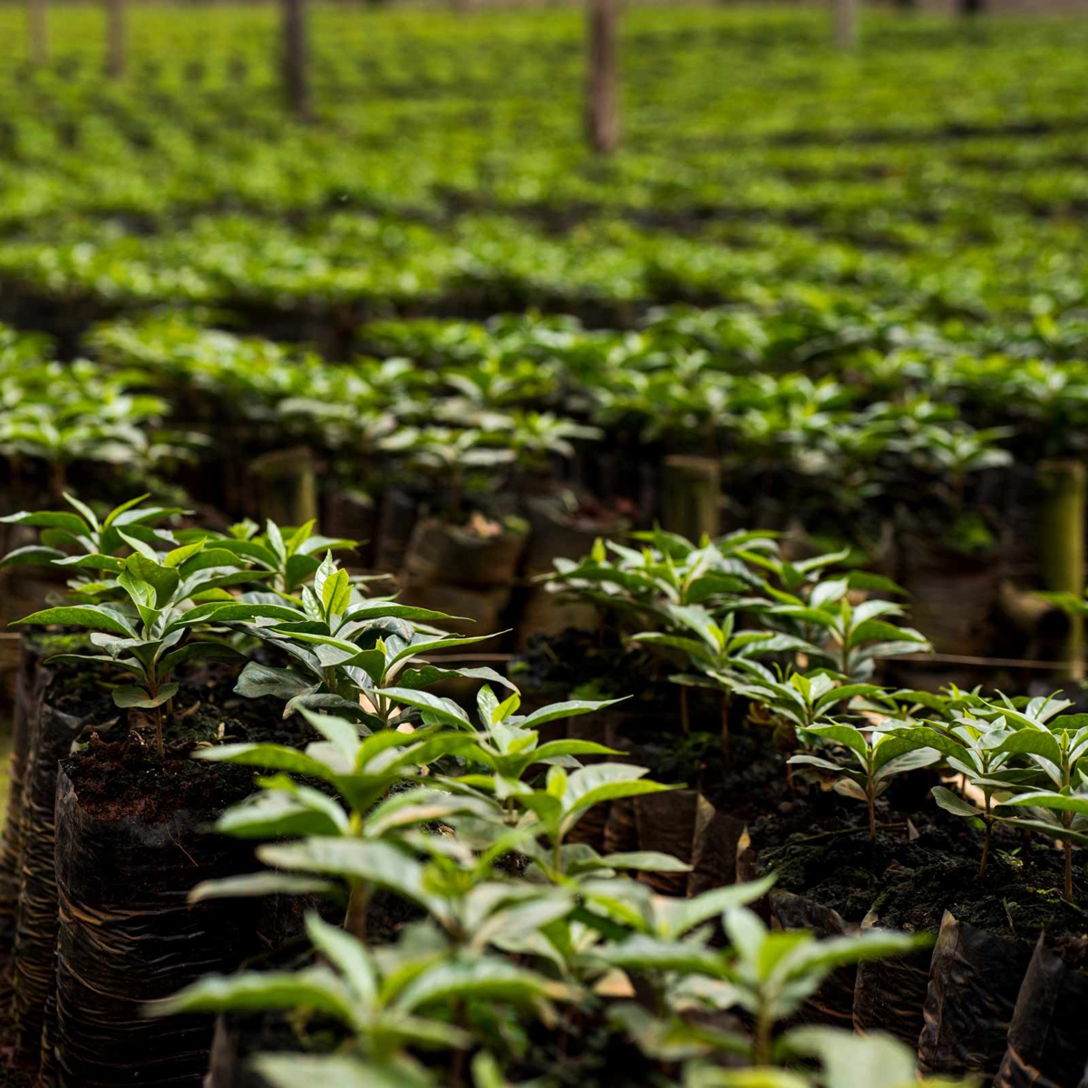 Produkte – SAM urban baker